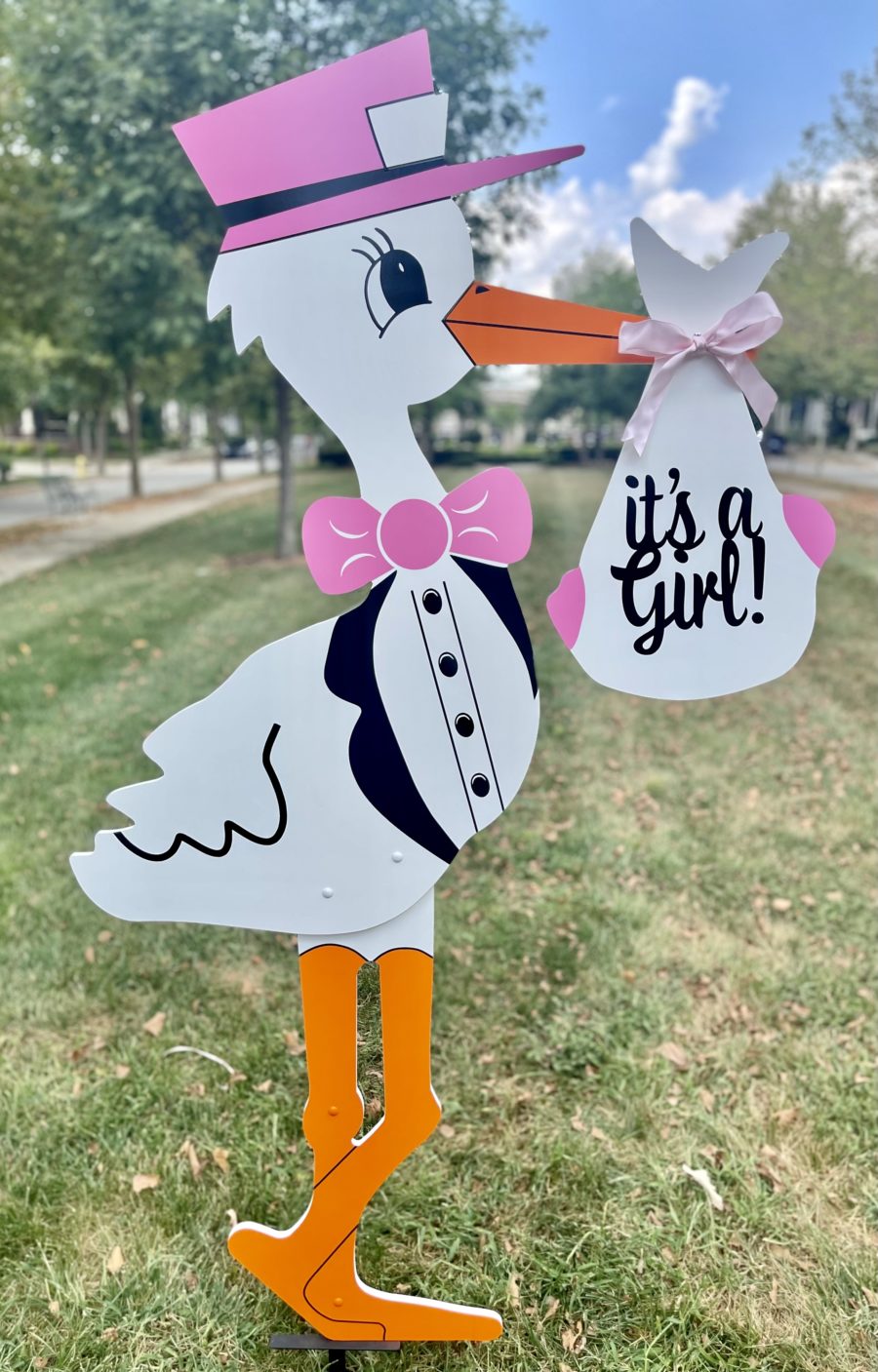 Pink or Blue Stork Rental - Generic Bundle -Welcome New Baby Yard Sign ...